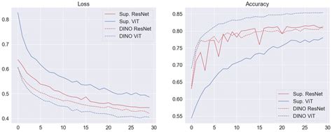Loss And Accuracy Curves For Each Model We Show The Loss And Accuracy Download Scientific