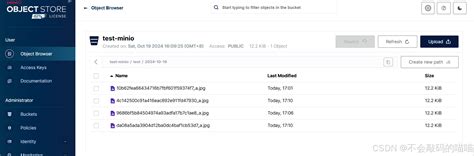 在springboot中使用minio实现文件上传功能 springboot minio 大文件上传 csdn博客