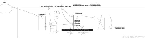 linux 进程控制：创建、终止、等待与程序替换全解析 linux fork 进程控制 csdn博客