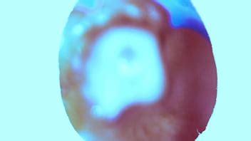 Deep Dive Exploring Every Inch From The Inside Out 12 12 LetMeJerk