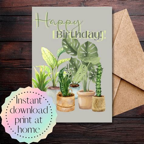 Pot Plant Birthday Card With 4 Styles Etsy