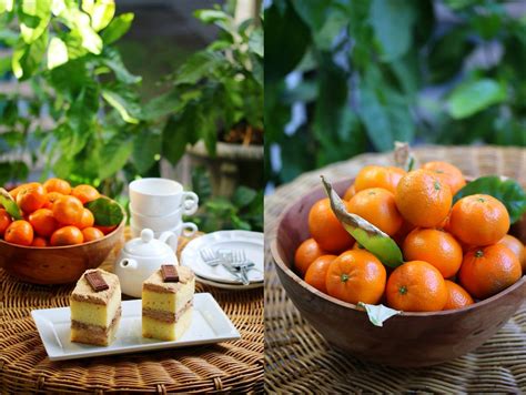 دکوراسیون و طراحی داخلی توصیه می کنم این پست رو سیو کنید واقعاً