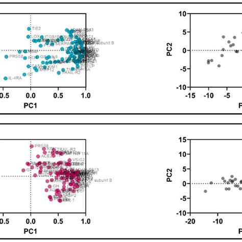Pca Analysis The Principal Component Analysis Showing Loadings Left Download Scientific