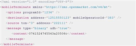What Are Binary Sms Messages