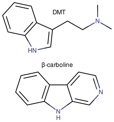 File Ayahuasca Svg Psychonautwiki