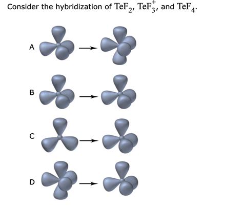 Solved Consider The Hybridization Of Tef2 Tef3 And Tef4