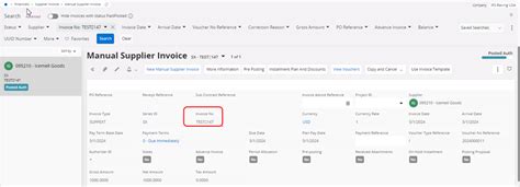ifs application allows the addition of erroneous characters when