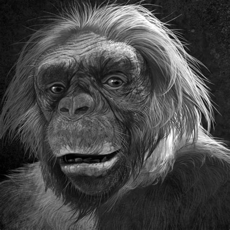 Australopithecus Ramidus
