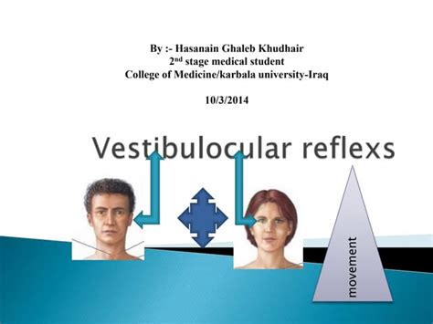 Vestibulocular Reflexs Pptx