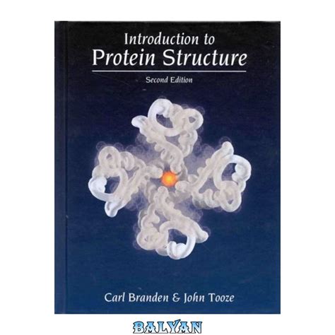 دانلود کتاب Introduction To Protein Structure بلیان