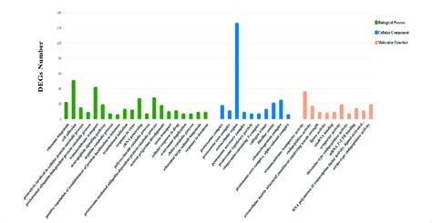 Go Enrichment Analysis Of Degs The Y Axis Represents The Number Of