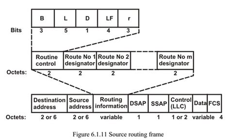 Figure 6 1 11 Source Routing Frame Examradar