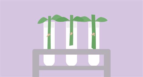Propagation Station Simulation Rgenerative