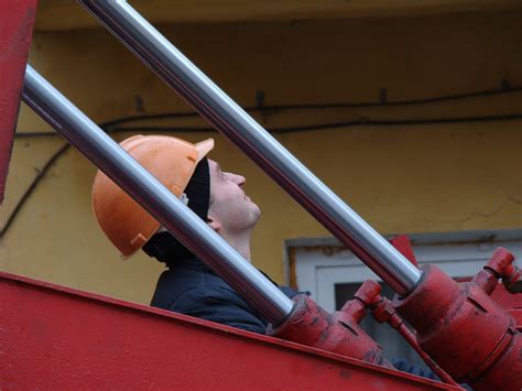 The Ultimate Cheat Sheet How To Hire A Tree Care Service Tips Twin Cities Tree Care