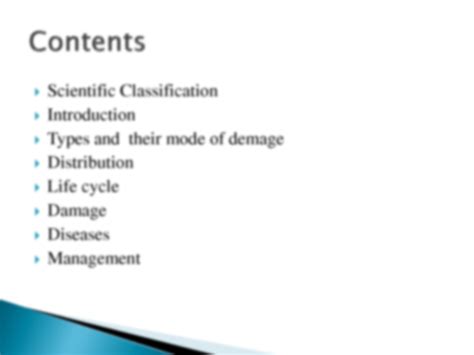 Solution Ants Classification Distribution Morphology Life Cycle Mode