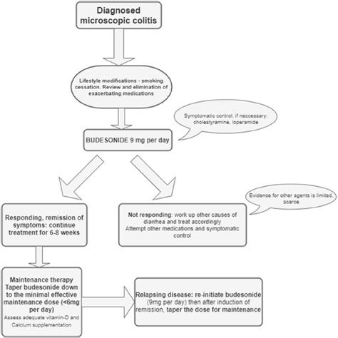 A Proposed Treatment Algorithm For Microscopic Colitis Regardless Of Download Scientific