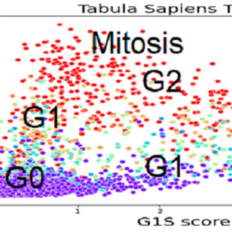 Scrna Seq Tabula Sapiens Human 500 000 Cells Kaggle
