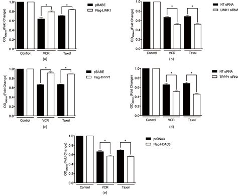 Limk1tppp1hdac6 Is A Dual Actin And Microtubule Regulatory Complex