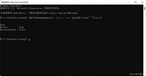 add windowscapability请求的操作需要提升——缺少权限 add windowscapability add