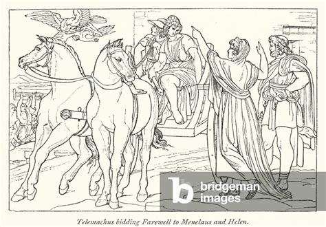 King Menelaus Drawing