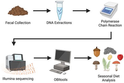 Metabarcoding Reveals Seasonal Shifts In The Allegheny Woodrats