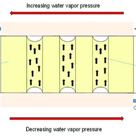 Osmotic Distillation Od Process Scheme Of Water Vapors Transport Download Scientific Diagram