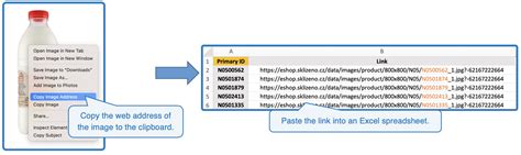 Data Preparation For Import To Quant Manual Quant Intelligent