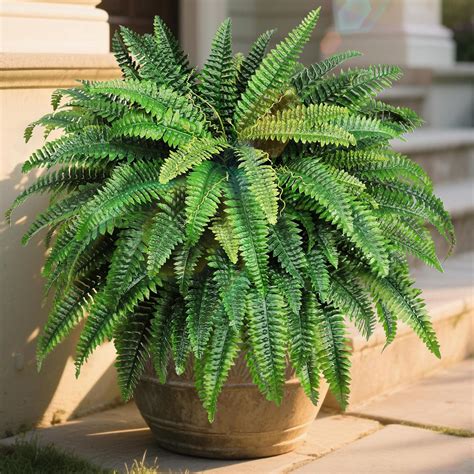 Digtecno Artificial Ferns Home And Kitchen