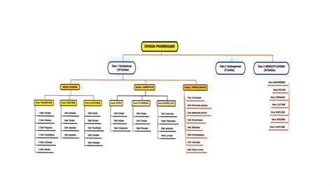 Systems Of Plant Classification Pptx