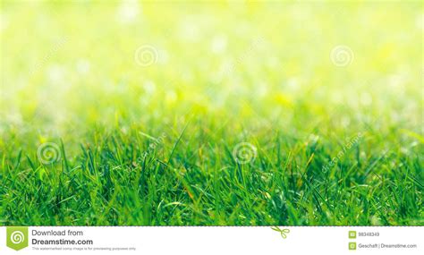 Seamless Pattern Green Grass Border Stock Image Image Of Lawn Effect 98348349 Seamless Pattern Green Grass Border Stock Image Image Of Lawn Effect 98348349