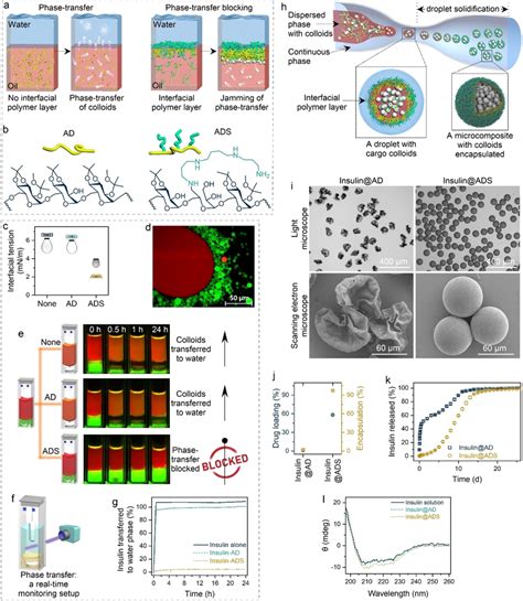 Interfacial Self‐assembly Of Ads Jammed The Phase‐transfer Of Colloids