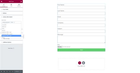Elementor Pro Form Widget Salesforce Plugin Obtain Code