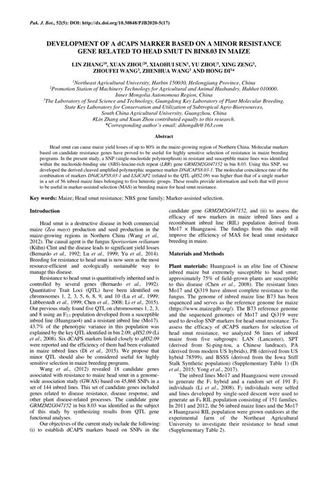 PDF Development Of A DCAPS Marker Based On A Minor Resistance Gene Related To Head Smut In