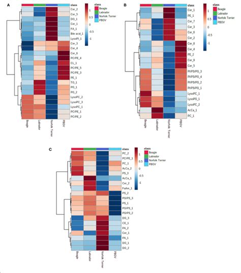Heatmap Visualization Of A Small Data Set Showing Breed Download
