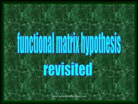 Functional Matrix Theory PPT Ear Nose And Throat Conditions Diseases And Conditions