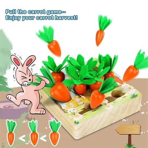 3 In 1 Wooden Learning Game Set Carrots Harvest Sh Vicedeal
