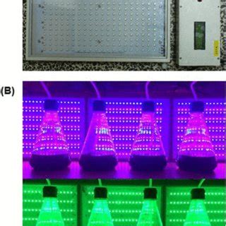 Light Emitting Diodes LEDs Cultivation System A Setup Of LED Lights Download Scientific