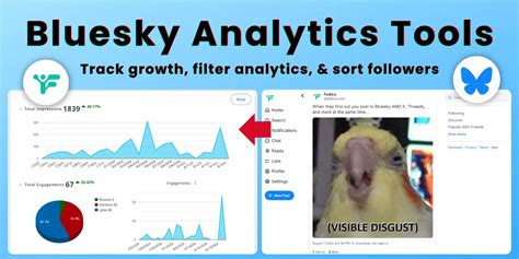 Launching New Bluesky Analytics Tools Followers Post Stats And Demographics Fedica Blog