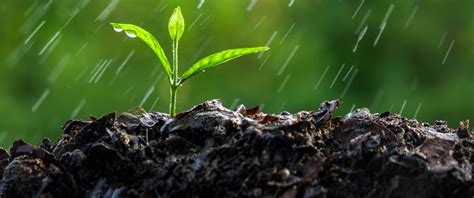 National Soil Moisture Workshop August Drought Gov