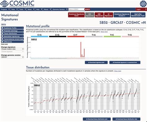 Cosmic Mutational Signatures Release V3 1