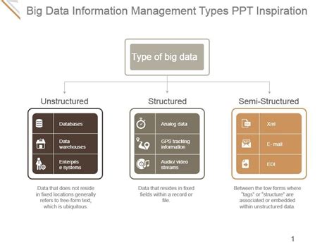 Big Data Information Management Types Ppt Inspiration Presentation
