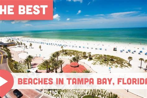 Best Beach Near Downtown Tampa At Joseph Dearth Blog