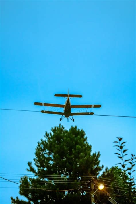 무료 사진 탑승 활주로 비행기 공항 도 교통 차량 트레일러 트럭 항공기