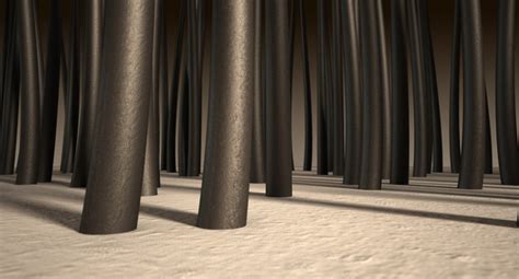 รปภาพScalp เลอกดภาพถายสตอก เวกเตอร และวดโอ Adobe Stock