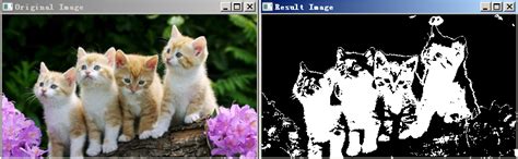 Opencv成长之路3模仿photoshop中魔术棒工具 Csdn博客