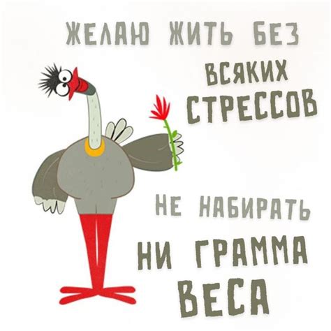 Открытки для девушки с днем рождения Смешные поздравительные открытки Надписи Веселые открытки