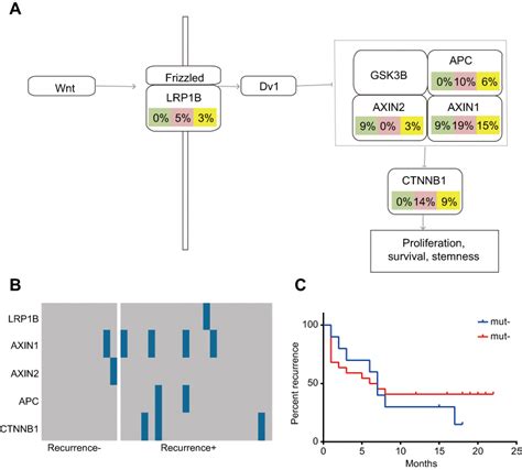 Detection Of A Novel Panel Of Somatic Mutations In Plasma Cell Free Dn Cmar