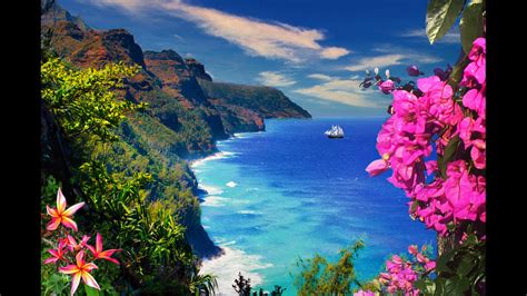 Най добрите дестинации за плуване с делфини Nova Bg