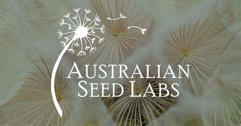 Australian Seed Labs Seed Testing And Analysis
