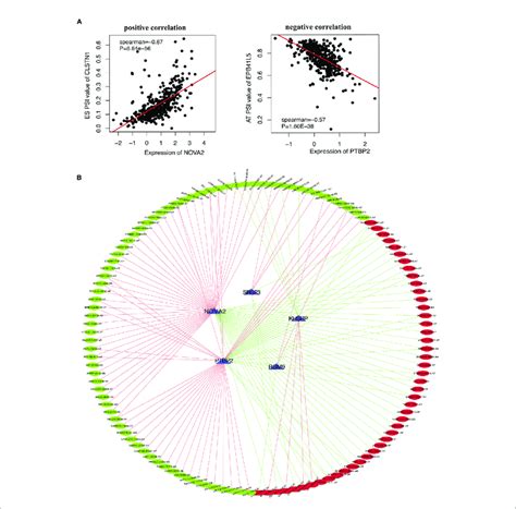 The Correlation Between The Targeting Sfs With As Events In Ptc A